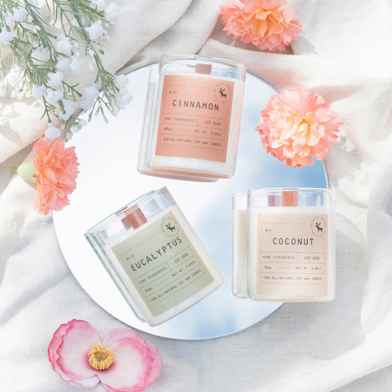 Sun Candle Gift Set (Coconut+Eucalyptus+Cinnamon, 3-Pack) | Monday Moose