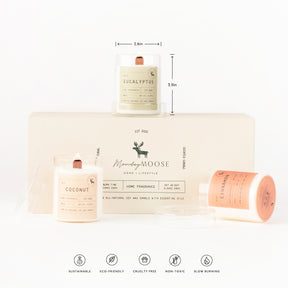 Sun Candle Gift Set (Coconut+Eucalyptus+Cinnamon, 3-Pack) | Monday Moose